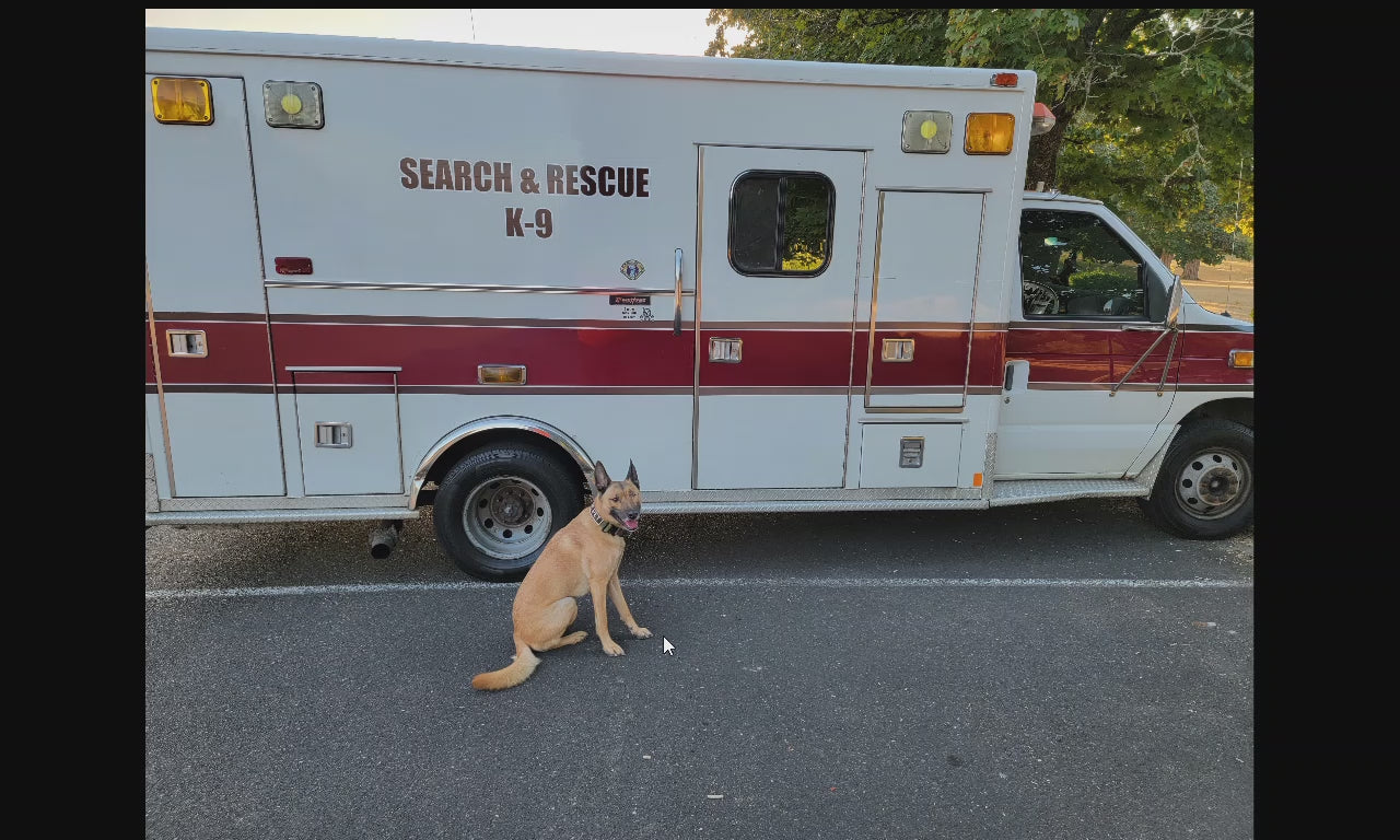 Pacific Northwest Forensic K9 Search and Recovery Inc. – PNWK9SAR